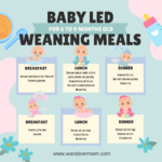 Exploring Baby Led Weaning: A Fun Journey to Independence! - Wanderer Mom